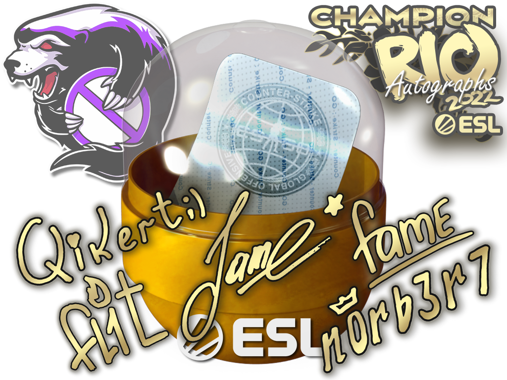 Rio 2022 Champions Autograph Capsule - CSGO Database