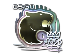 Sticker | FURIA (Foil) | 2020 RMR - CSGO Database