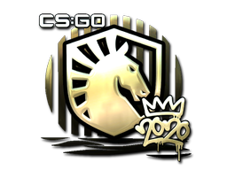 Sticker | Liquid (Gold) | 2020 RMR - CSGO Database