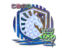 Sticker | Liquid (Holo) | 2020 RMR - CSGO Database