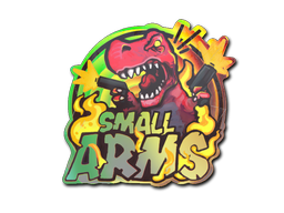 Sticker | Small Arms (Holo) - CSGO Database