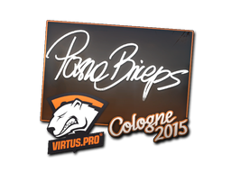 Sticker | pashaBiceps | Cologne 2015 - CSGO Database