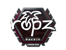 Sticker | ropz | London 2018 - CSGO Database
