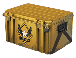 Winter Offensive Weapon Case - CSGO Database